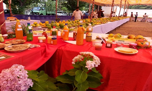 Directorate of Agriculture